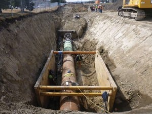 TOP PLANTS: Shepard Energy Centre, Calgary, Alberta