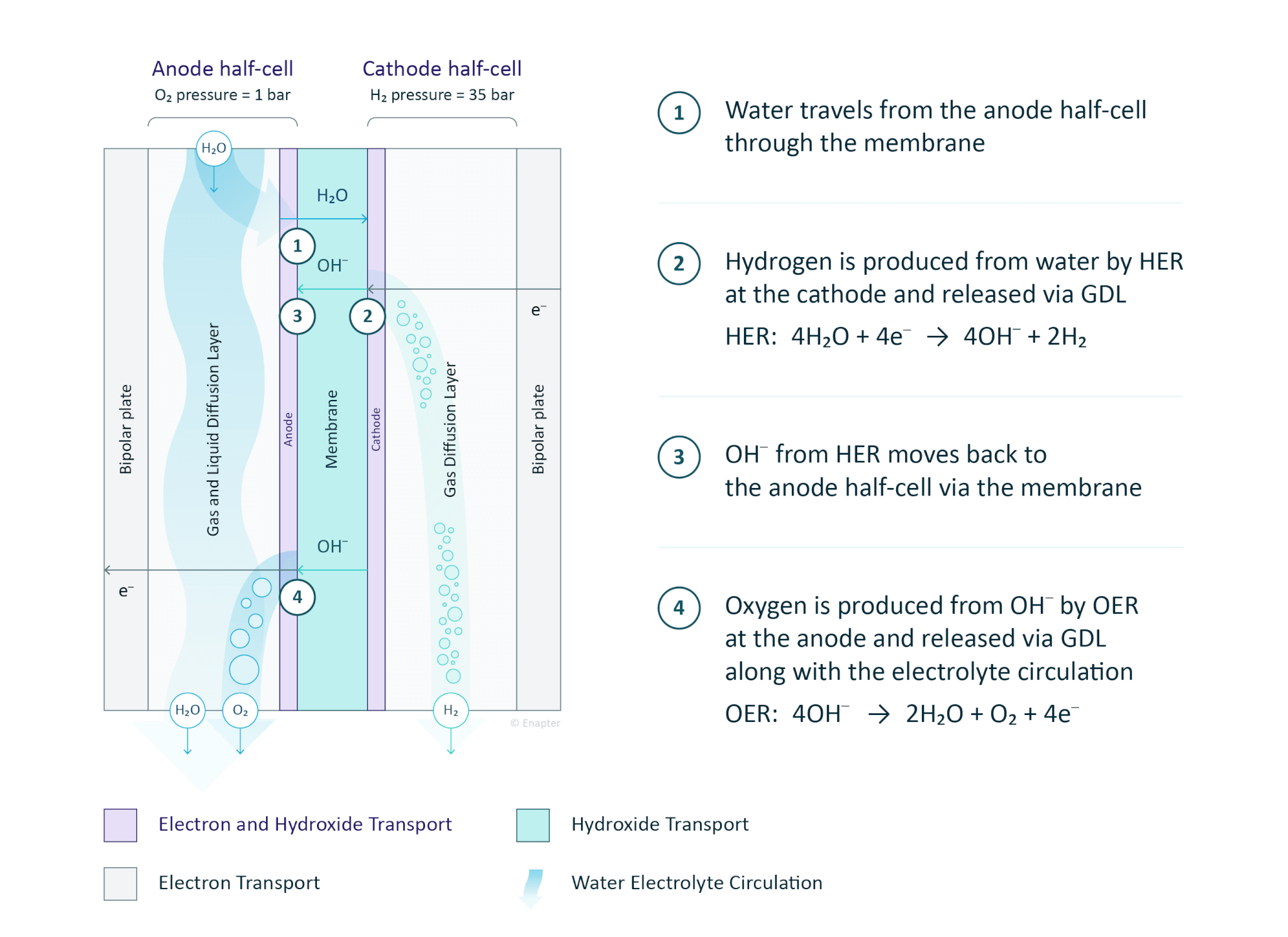 POWER Magazine - Enapter Makes Headway on AEM Electrolyzer Mass ...