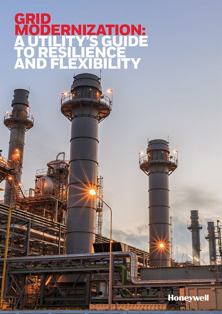 Grid Modernization: A Utility's Guide to Resilience and Flexibility